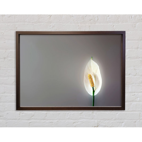 Ebern Designs Einzelner Bilderrahmen Kunstdrucke auf Leinwand | Wayfair.de